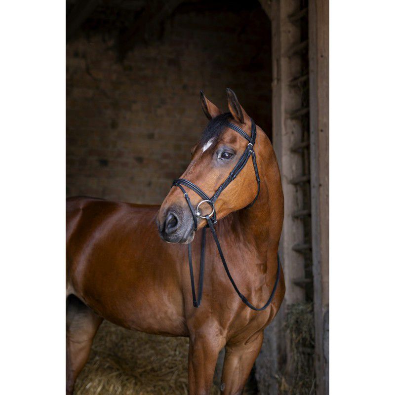 Bridon Eric Thomas Hybrid "Confort" - Selleriedurouergue