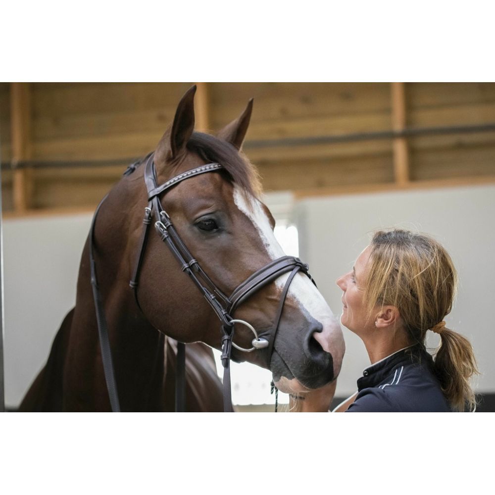 Bridon Pénélope Daily - Selleriedurouergue