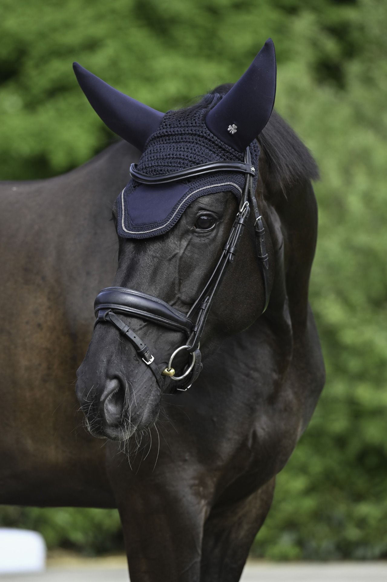 Bonnet anti-mouches Bucas Show-Line anti-bruit - Selleriedurouergue