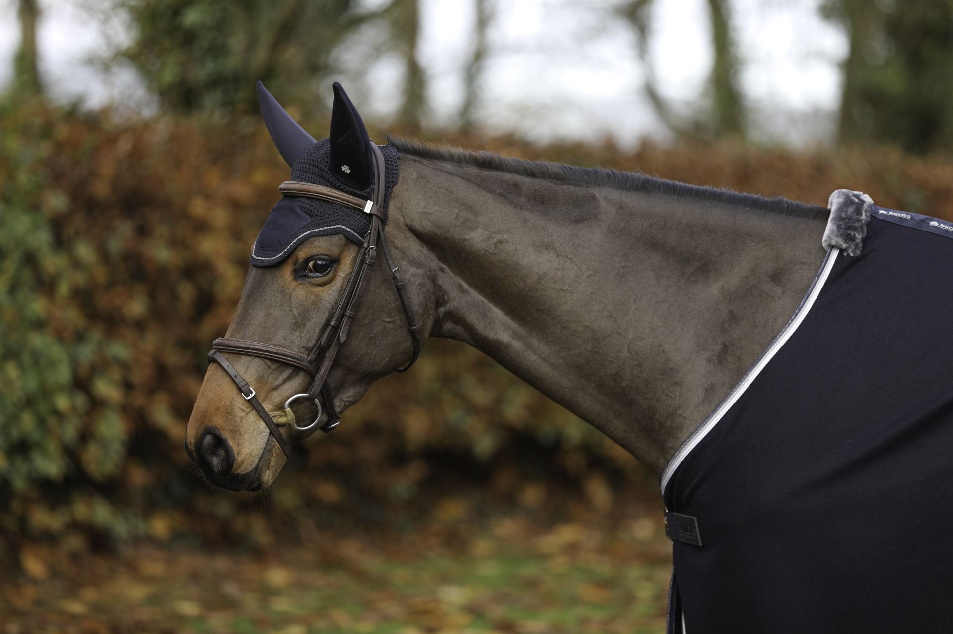 Bonnet anti-mouches Bucas Show-Line anti-bruit - Selleriedurouergue